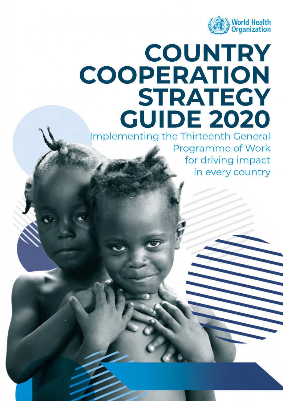 Country cooperation strategy guide 2020: implementing the Thirteenth ...